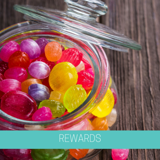 How to stay additive free even at school - Additive Free Kids